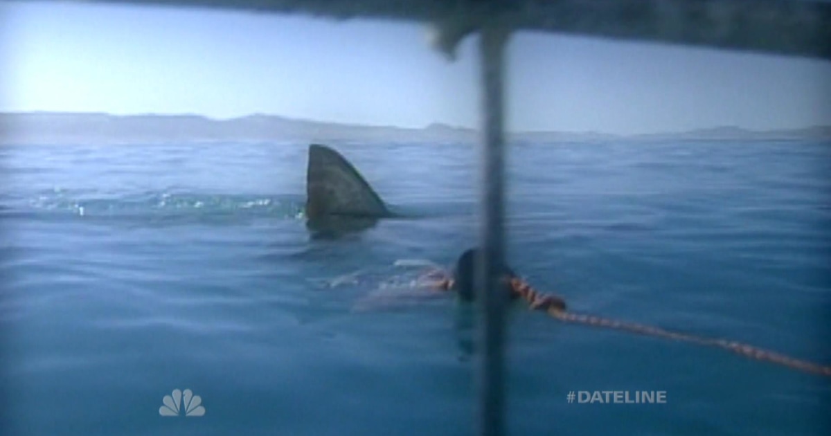 Jaws! A Dateline Survivor Story