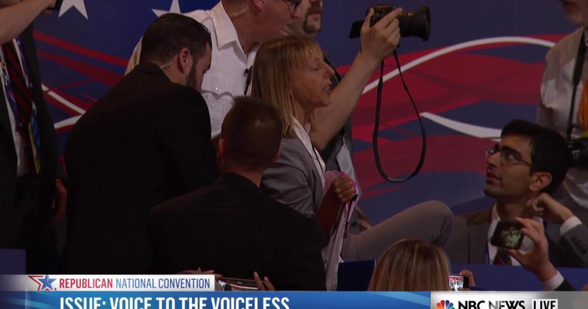 Protester Confronted During Trump Speech
