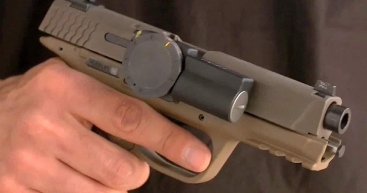 New Device Prevents Unauthorized Use of Guns