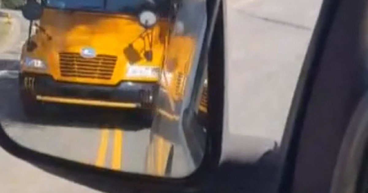 Aggressive School Bus Driver Investigated