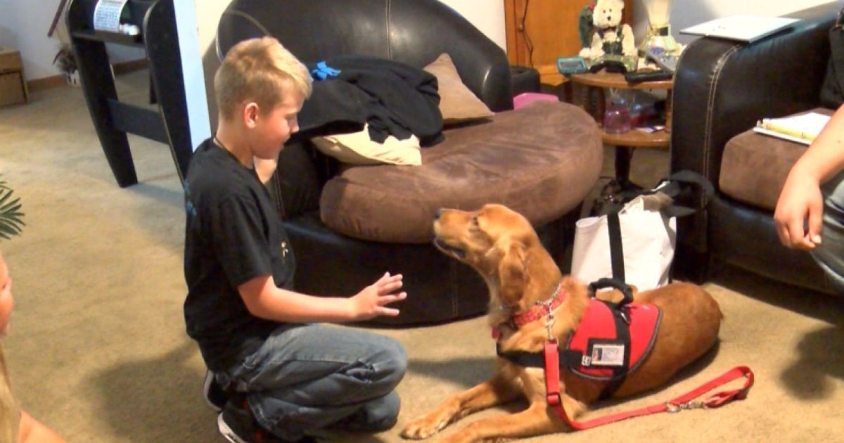 Service Dog Is Boy's New Best Friend