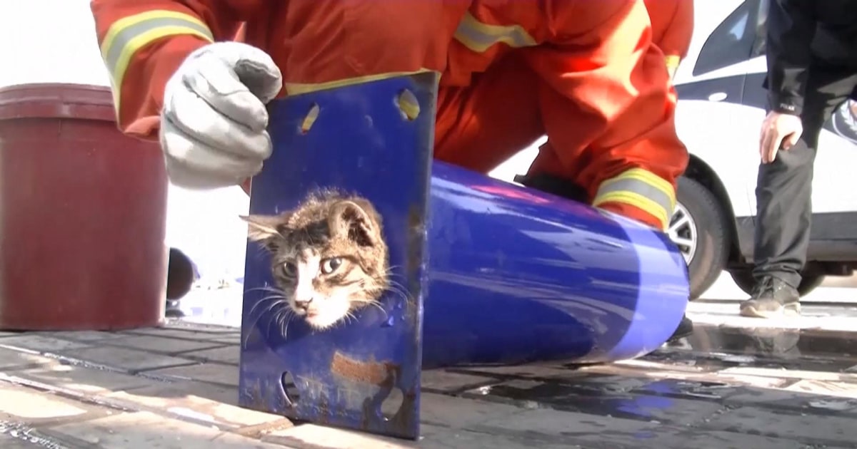 Cat Stuck in Narrow Pipe Rescued by Firefighters