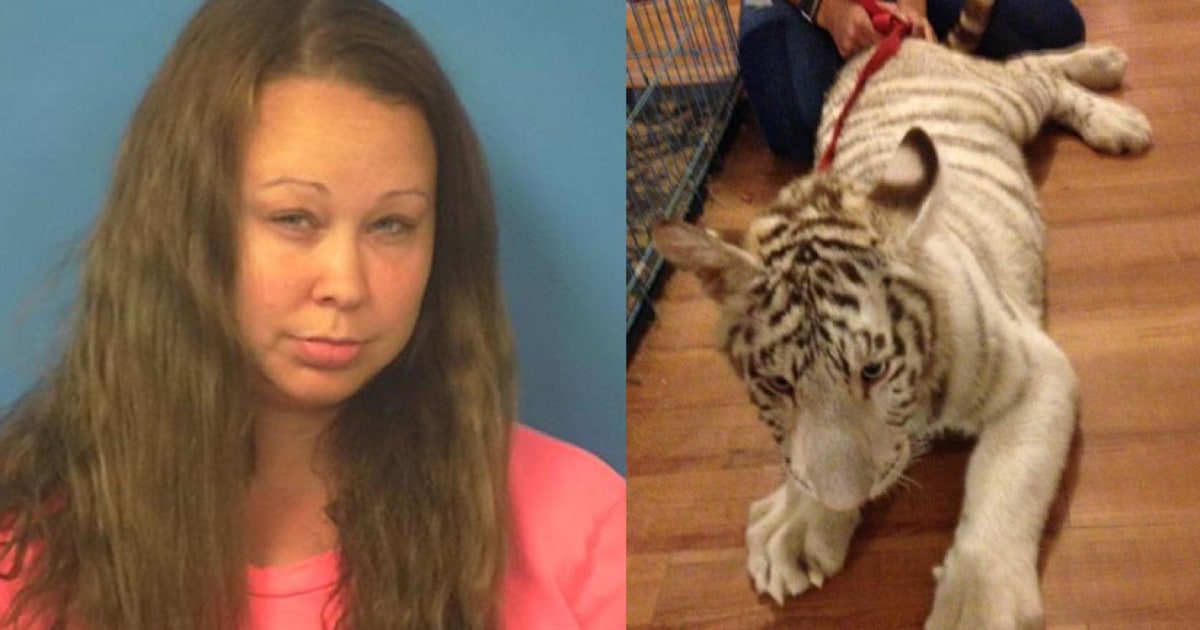 Tigers Found In Texas Home