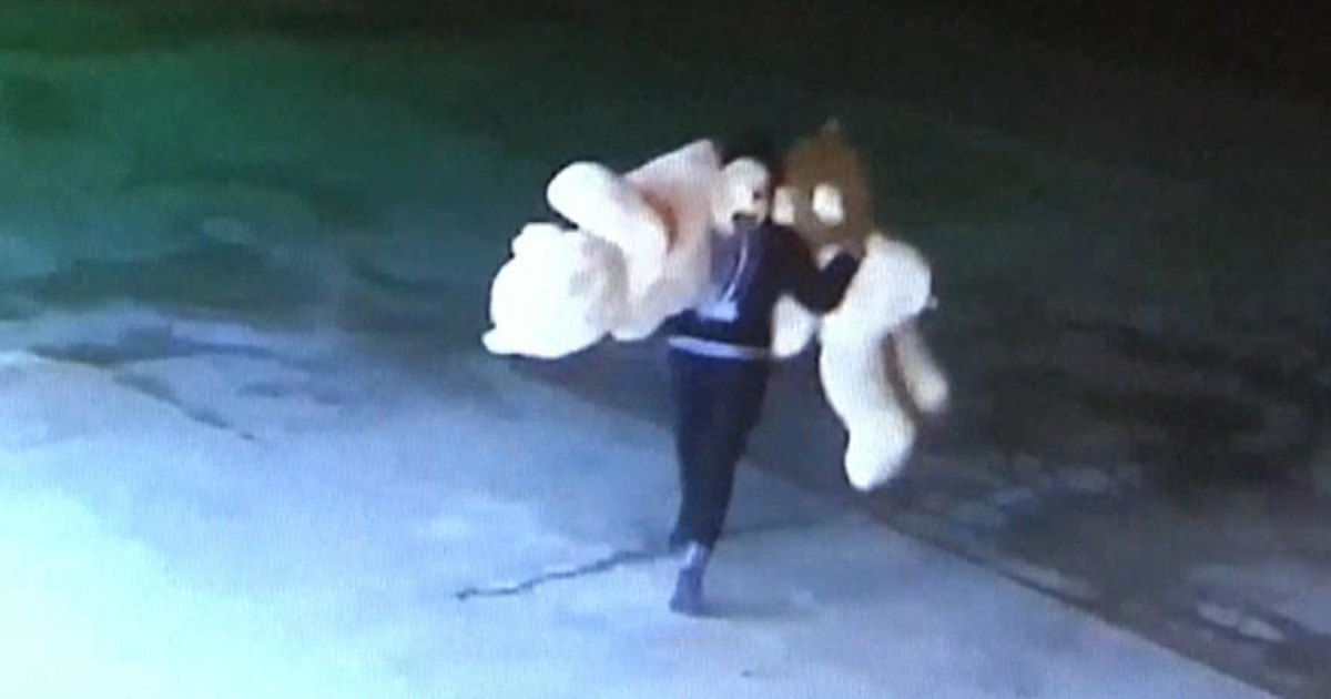 Surveillance Video Shows Smash and Grab for Stuffed Animals