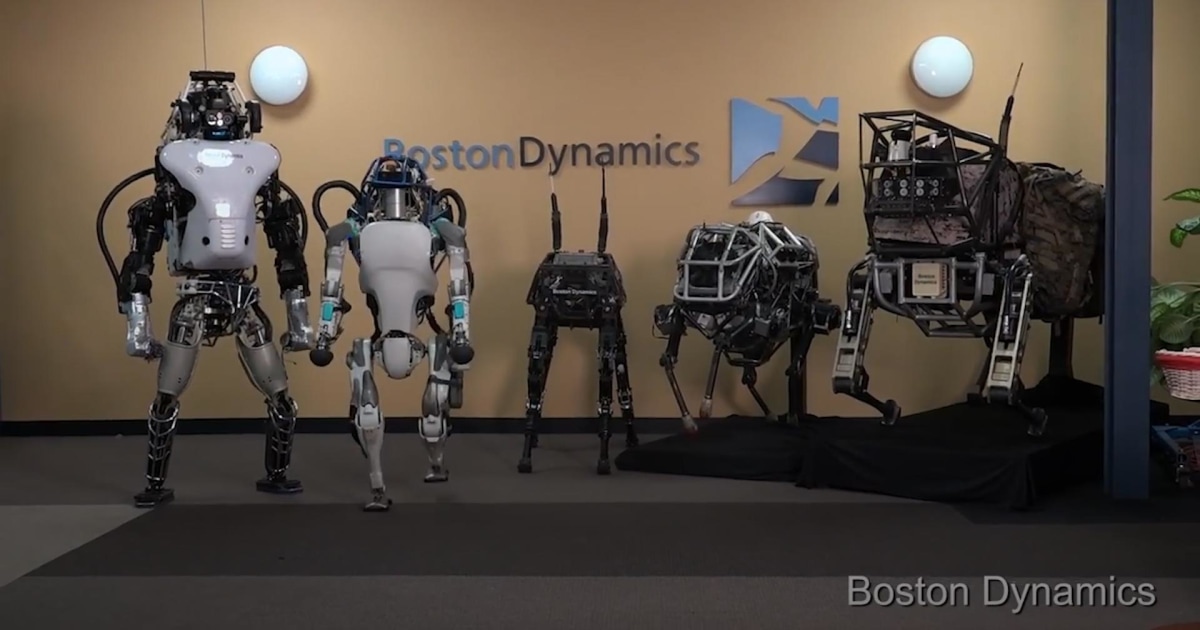 What Does the Future Hold for Boston Dynamics' Fleet of Robots?