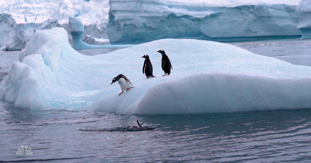 PREVIEW: A March with the Penguins