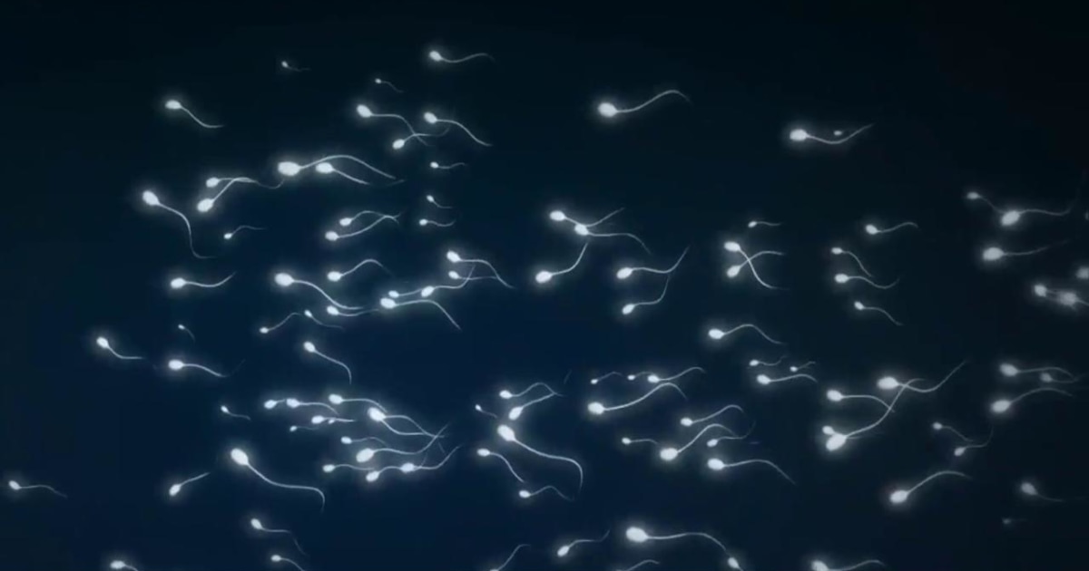 Men Significantly Less Fertile Than 40 Years Ago, Study Finds