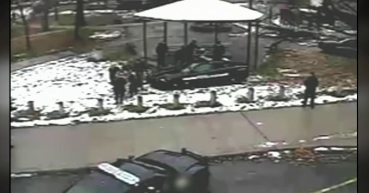 New video in the Tamir Rice incident