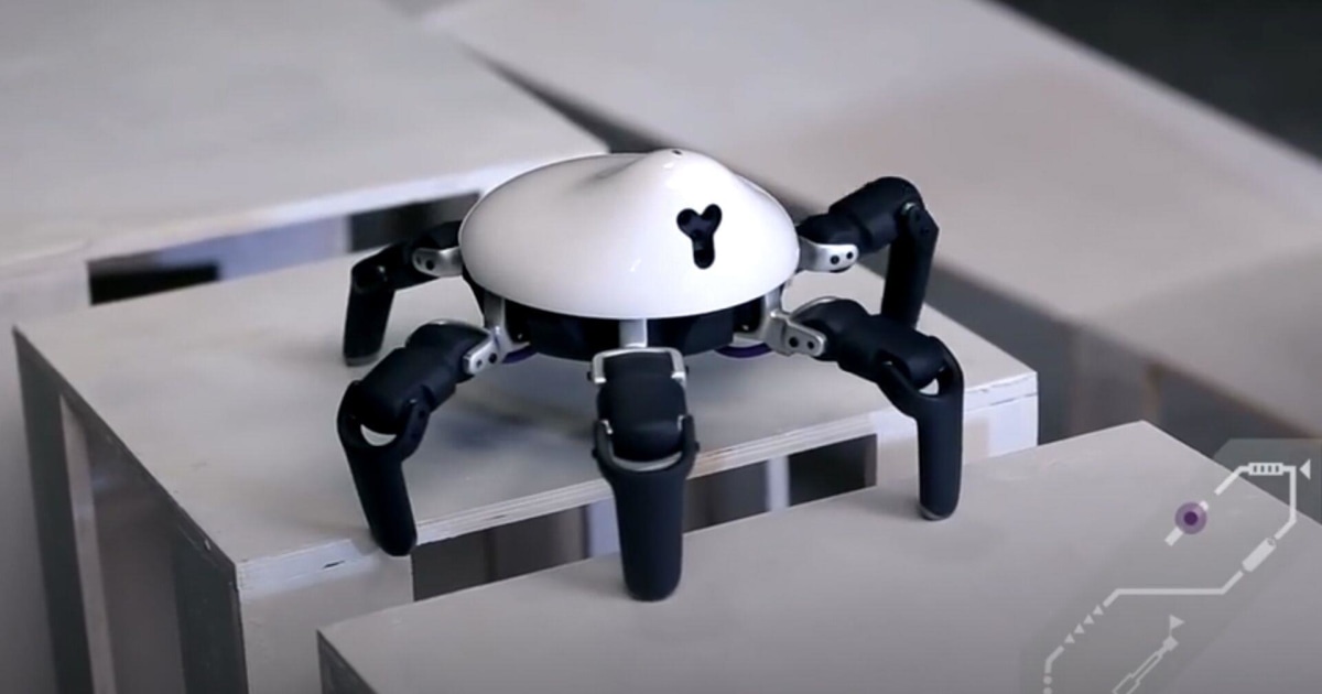 Meet Hexa, an Adorable, Terrifying, Spider-like Robot