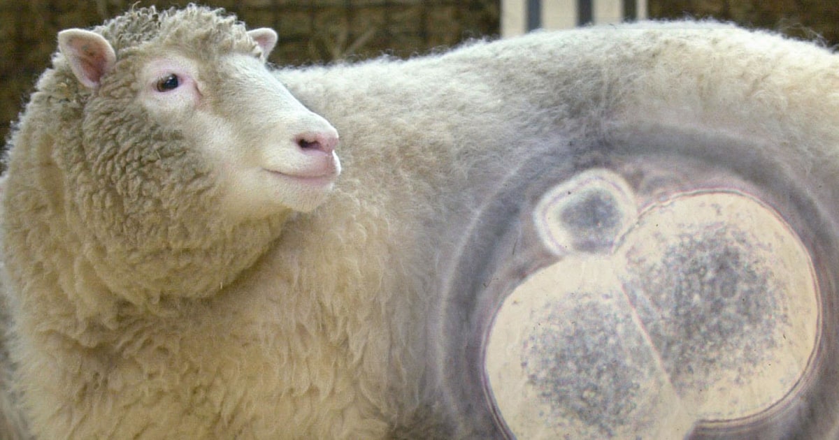 The Future of Cloning: It's Not About Creating Another You