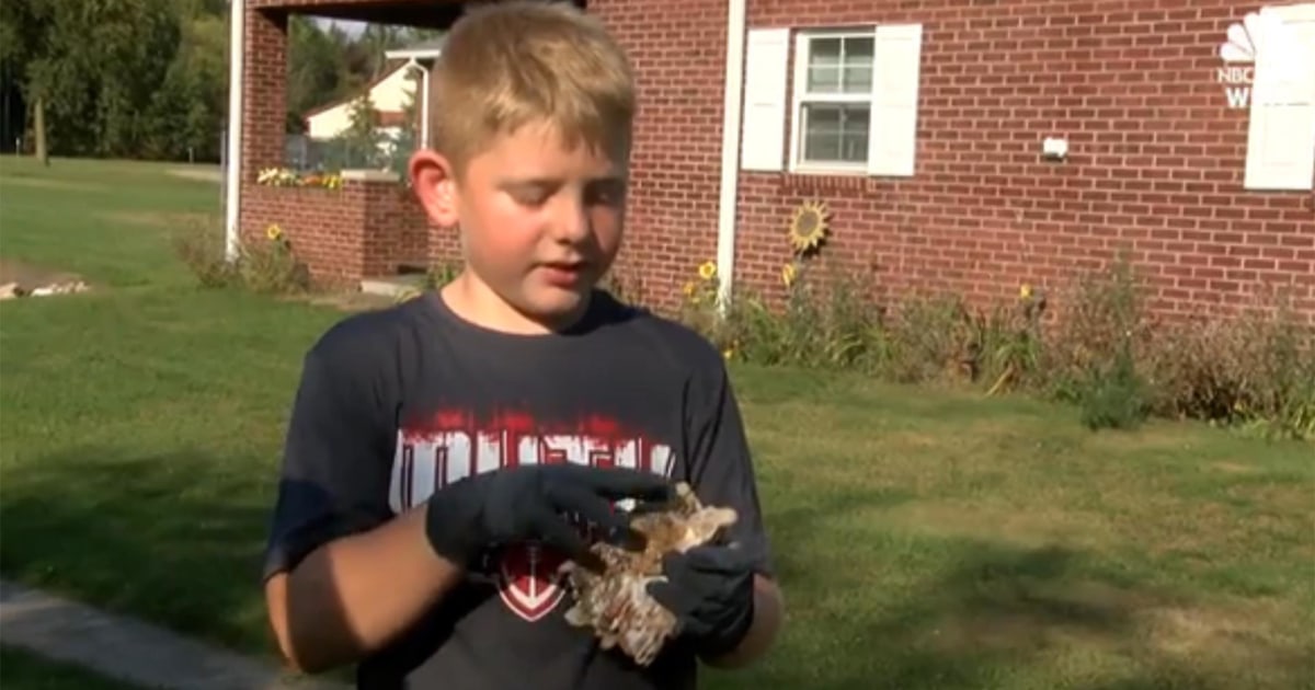 Boy Finds Mastodon Tooth in Michigan