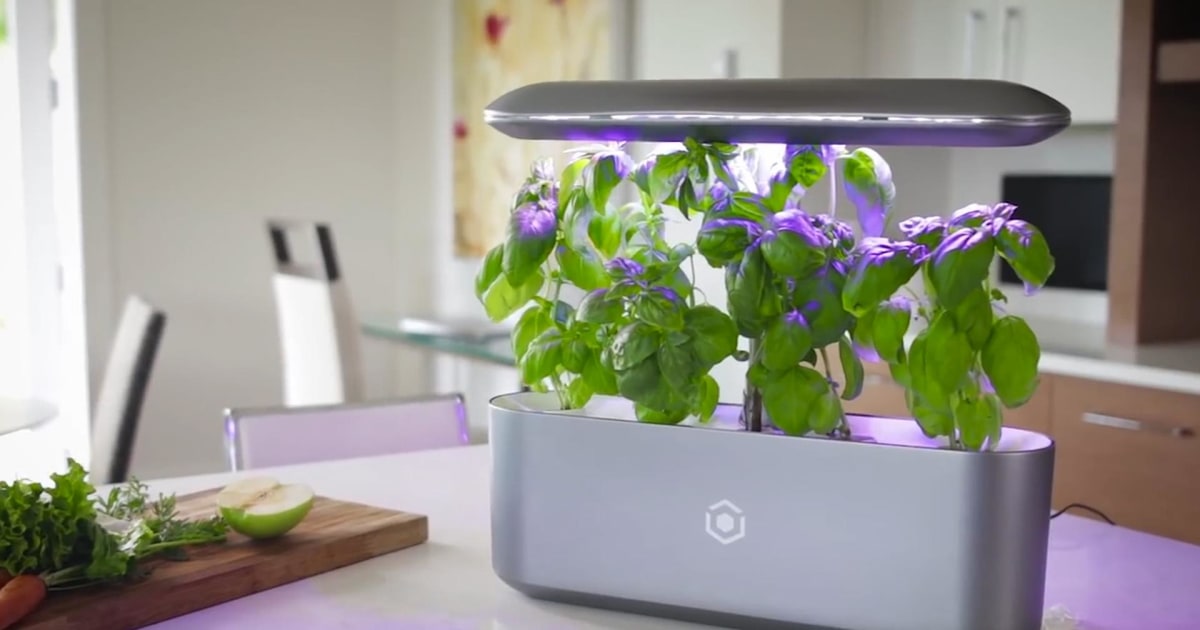 This Smart Table-Top Garden Could Change The Way We Grow Herbs