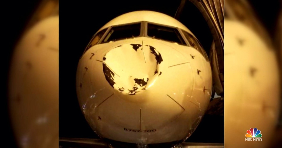 Plane Carrying NBA Team Dented In Likely Bird Strike