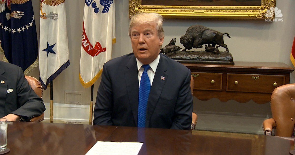 Trump: DACA ‘going to be terrific’ with support from Democrats