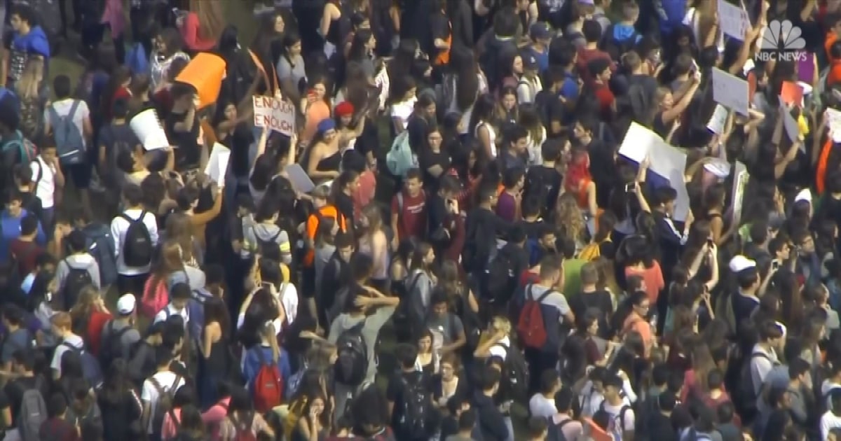 Florida students protest gun violence with walkout