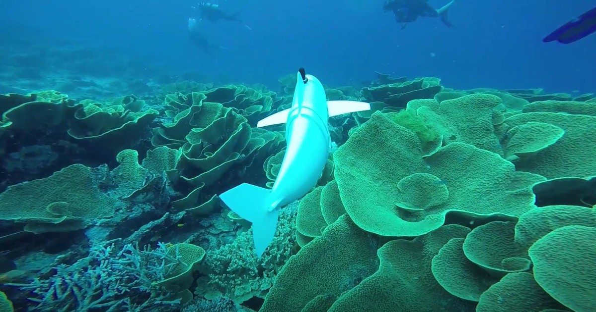 A soft robotic fish that’s controlled with a Super Nintendo controller