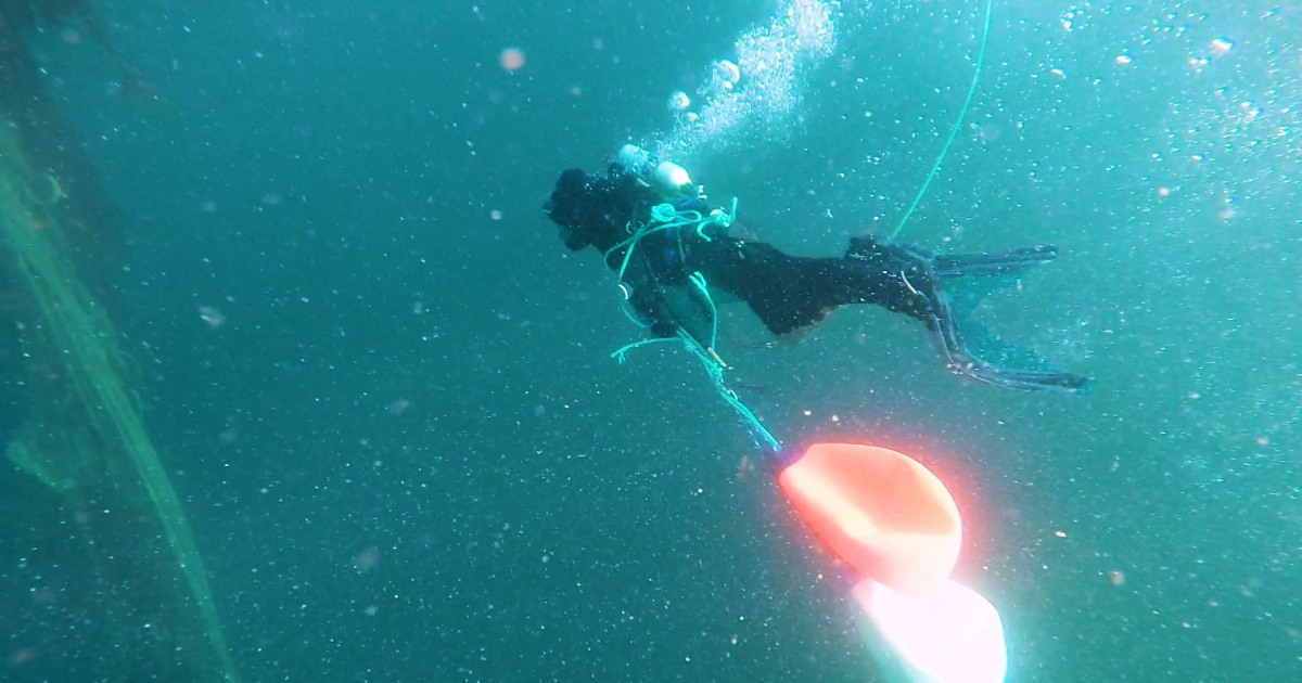 Hunting for ghost gear: What happens when fishing nets go rogue