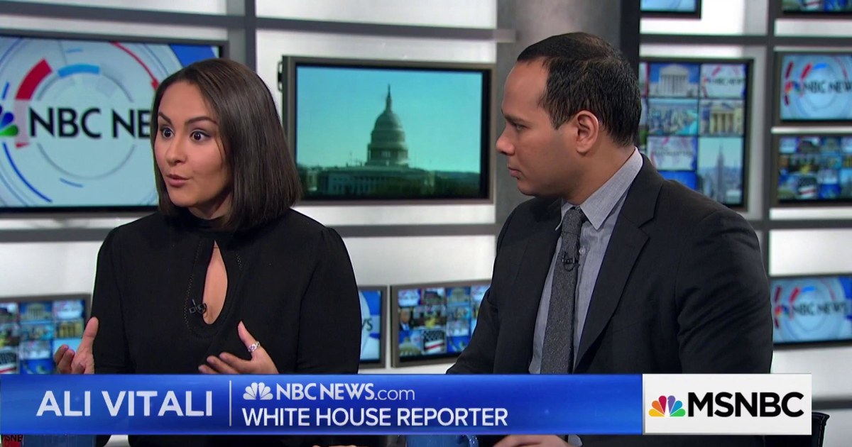 Journalist Ali Vitali and Sopan Deb speak with MSNBC’s David Gura about ...