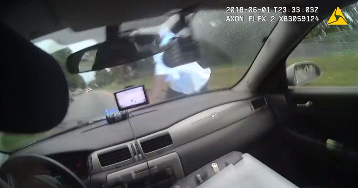 Video shows Georgia police officer hit fleeing suspect with patrol car ...