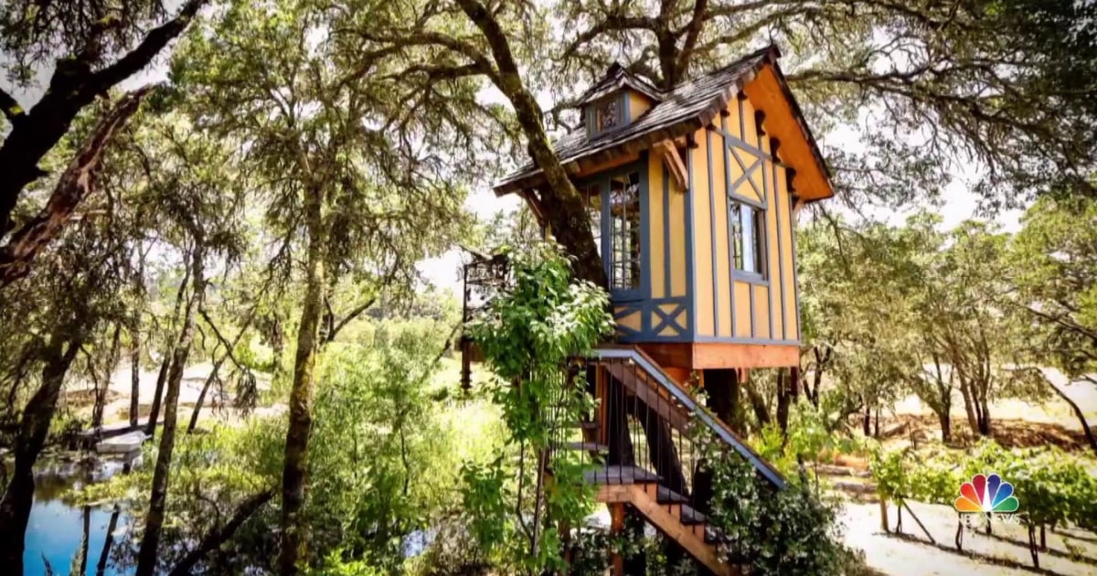 Adult treehouses take the comfort of home to new heights