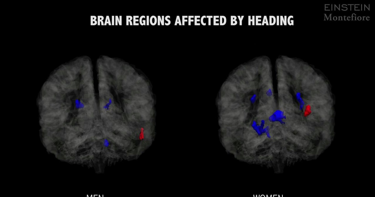 How heading a soccer ball affects female vs. male brain