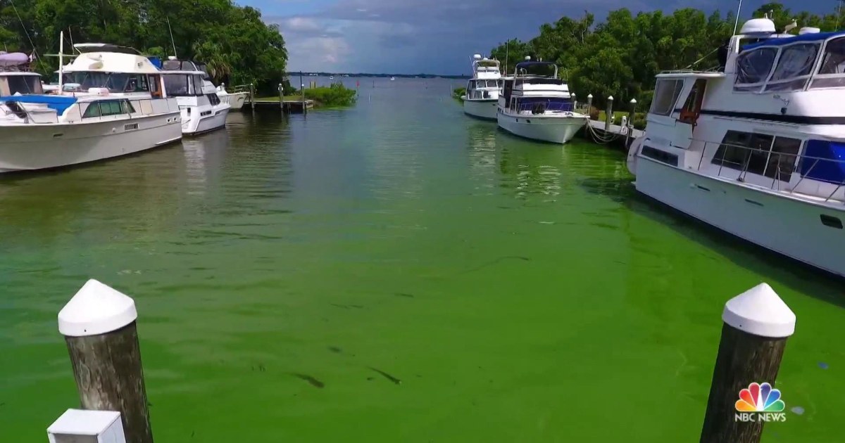 Toxic algae spreads along Florida waterways raising health concerns