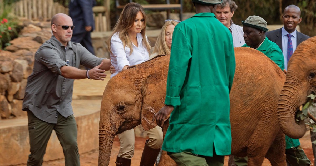 First lady Melania Trump feeds baby elephants at orphanage in Nairobi ...