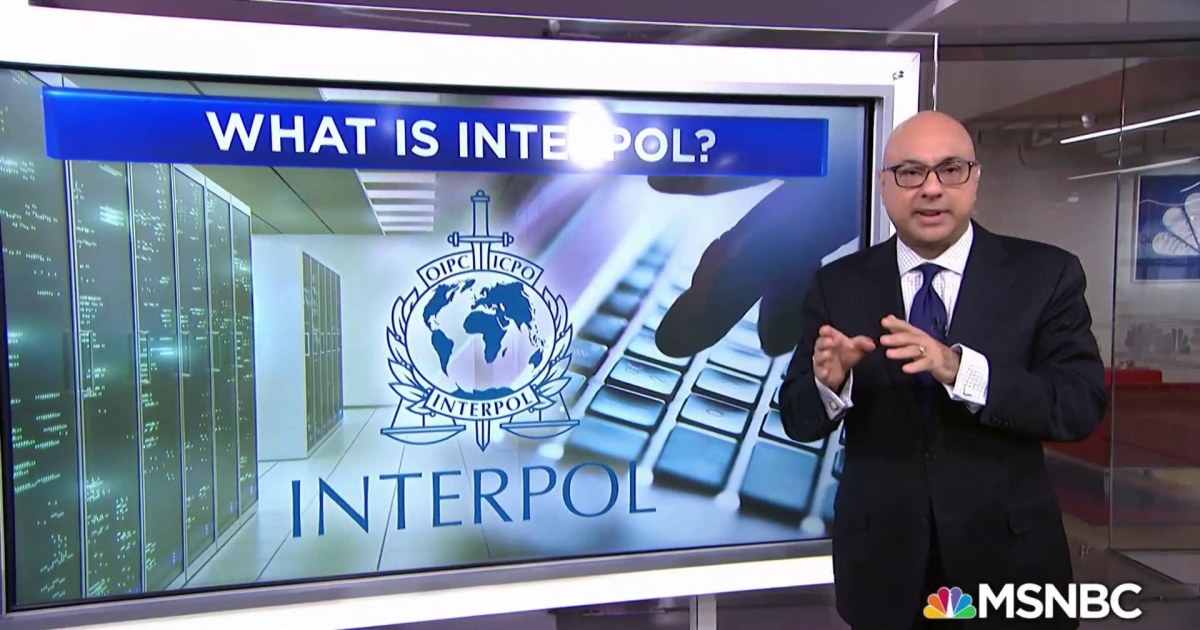 What is Interpol?