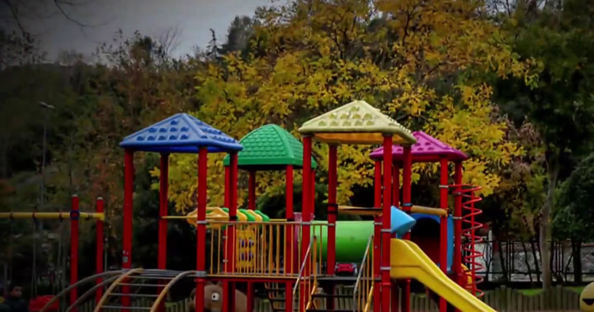 Mom credits code word with saving daughter from kidnapping attempt