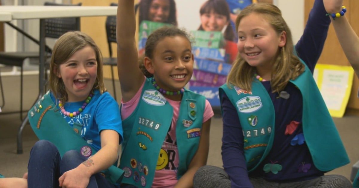 Girl Scouts learn to fight cybercrime with new badges