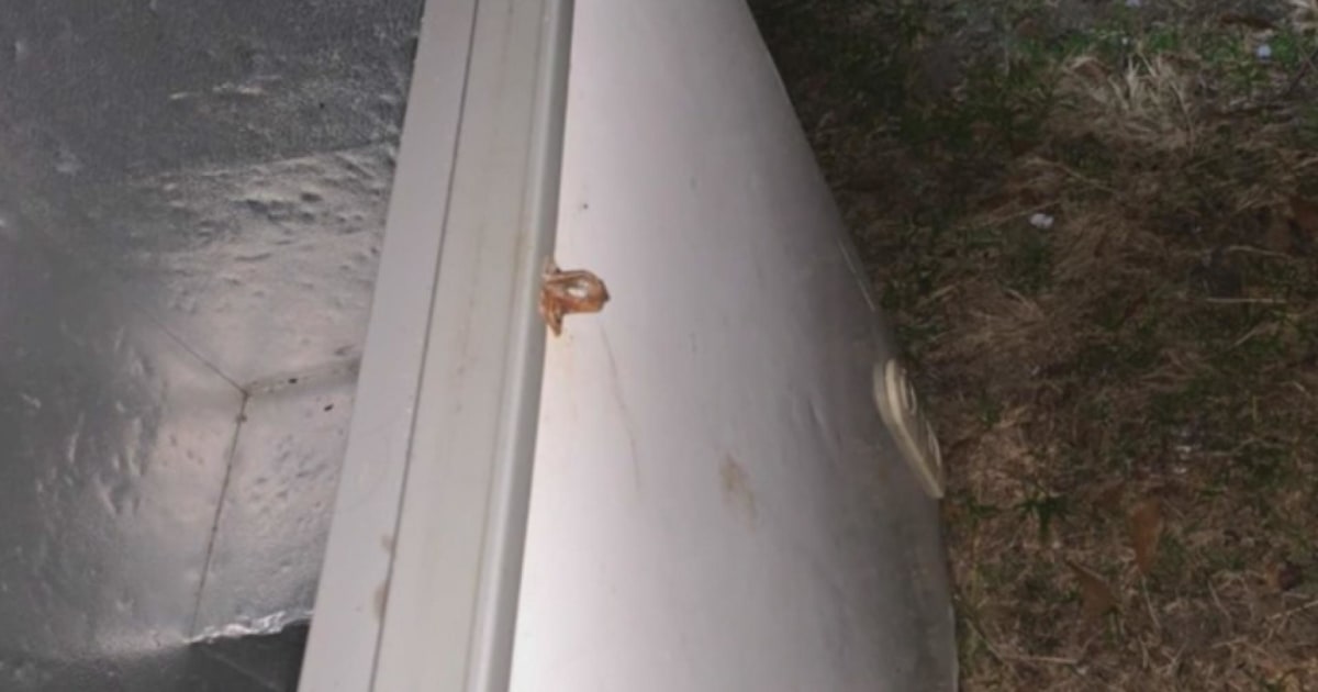 Three children's bodies recovered from freezer in Florida