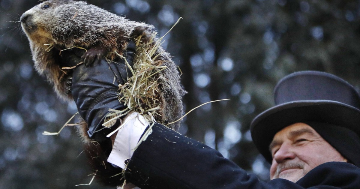 Groundhog Day: Punxsutawney Phil predicts an early spring for 2019