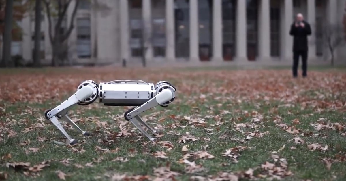 MIT's back flipping, super-nimble 'Mini Cheetah' robot breaks new ground