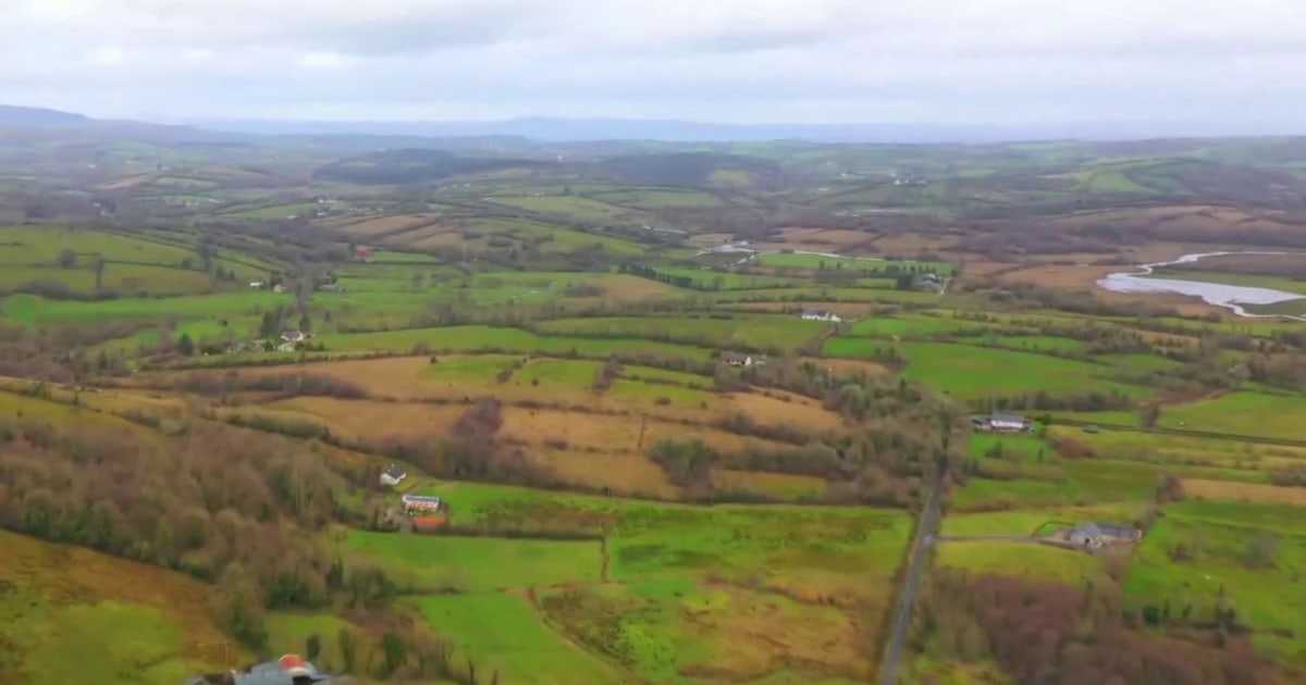 Scientists look to Irish folk cure in fight against deadly superbugs