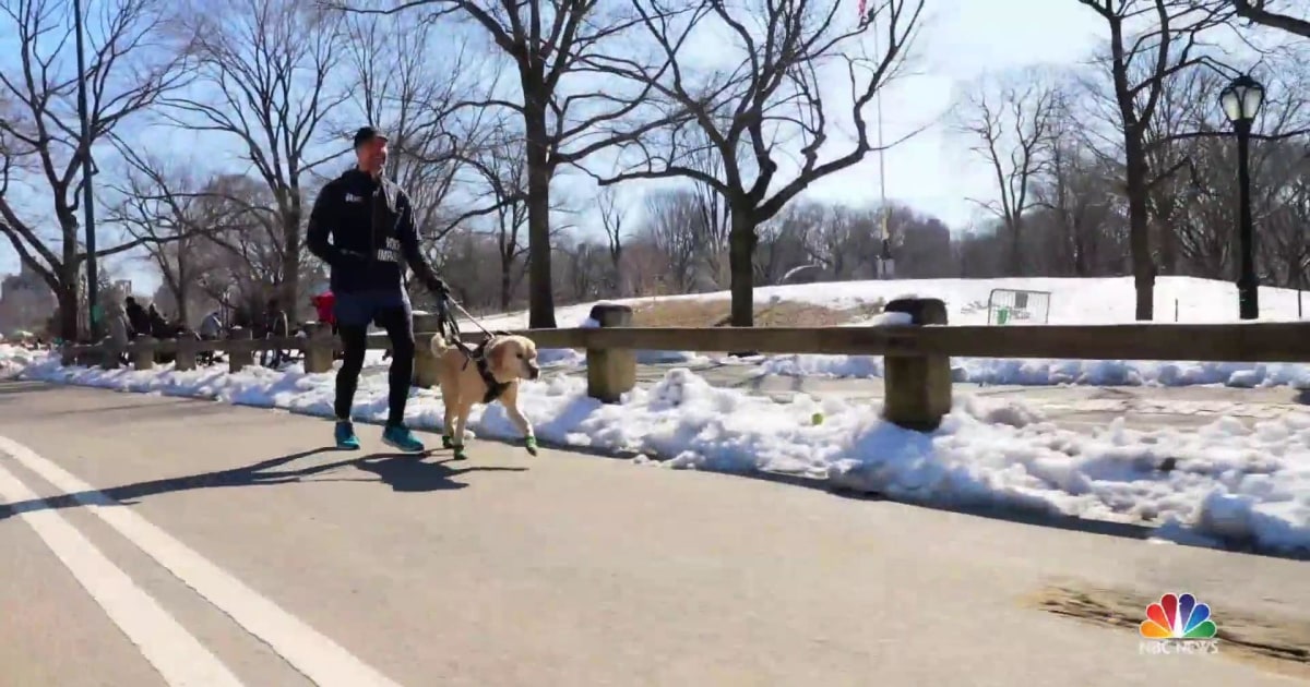 Blind runner and guide dog team up for half-marathon