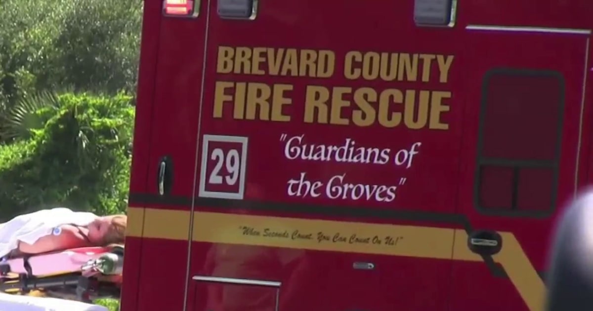 Florida woman recovering after alligator attack