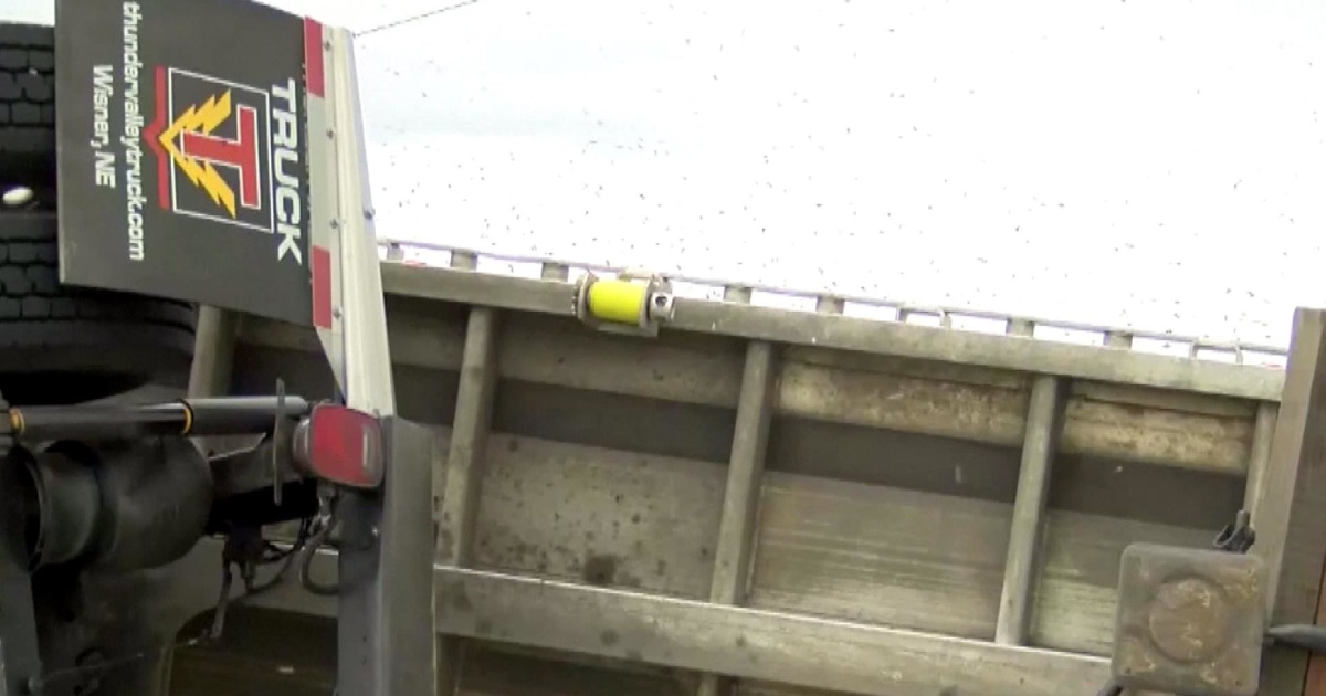 Truck carrying millions of bees overturns near Bozeman, Montana
