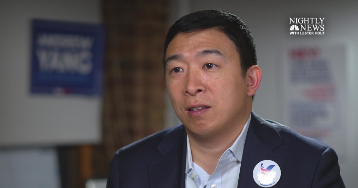 Andrew Yang on his 'big idea'