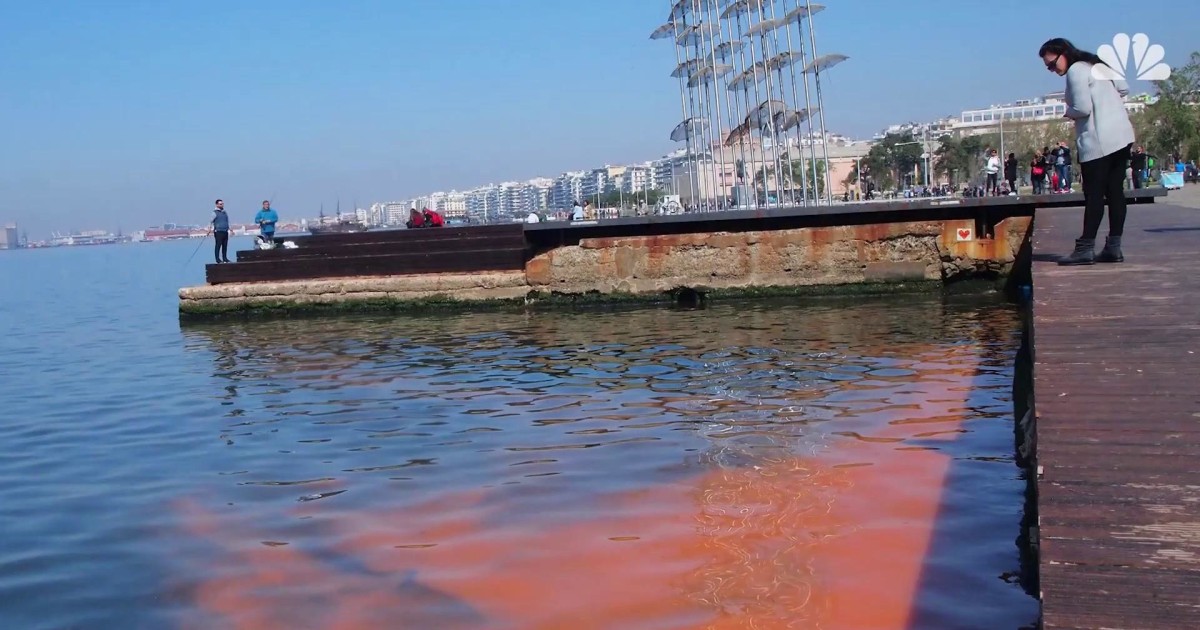 What is red tide?