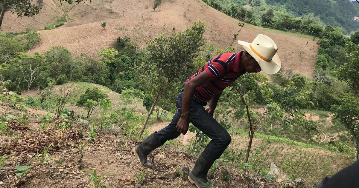 Fleeing Guatemala: how climate change drives migration to the U.S.