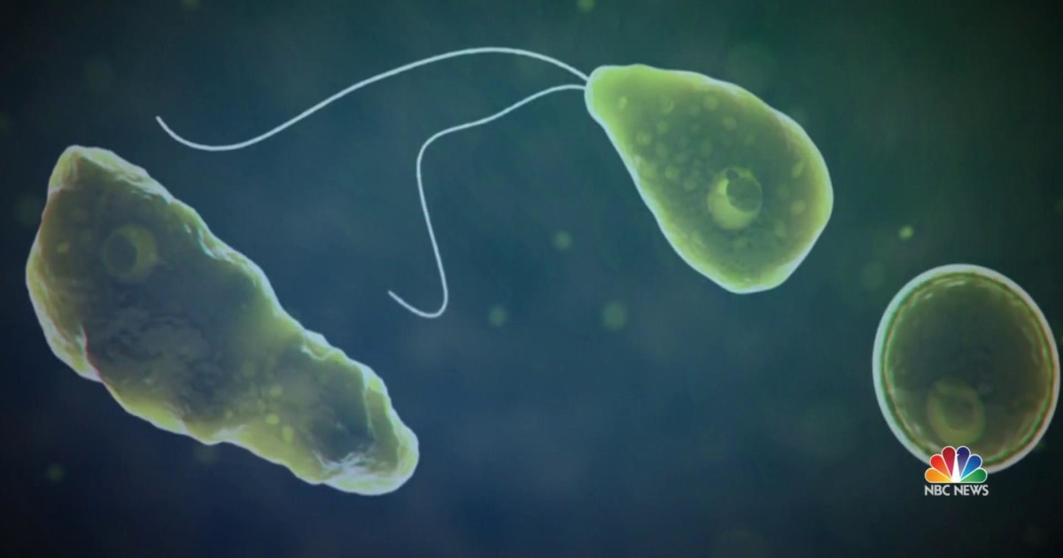 Brain-eating amoeba kills man who swam at water park