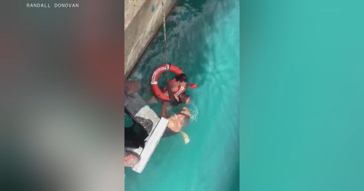 Two men rescue cruise passenger when her wheelchair rolled off the dock