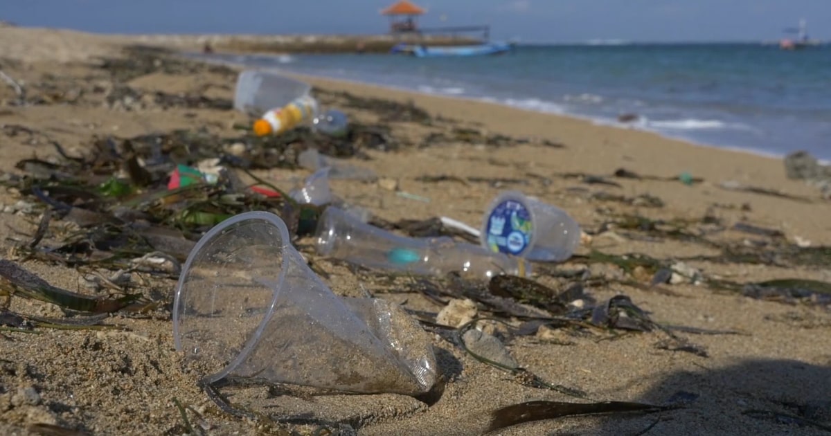 Plastic in paradise: Fighting pollution in Bali