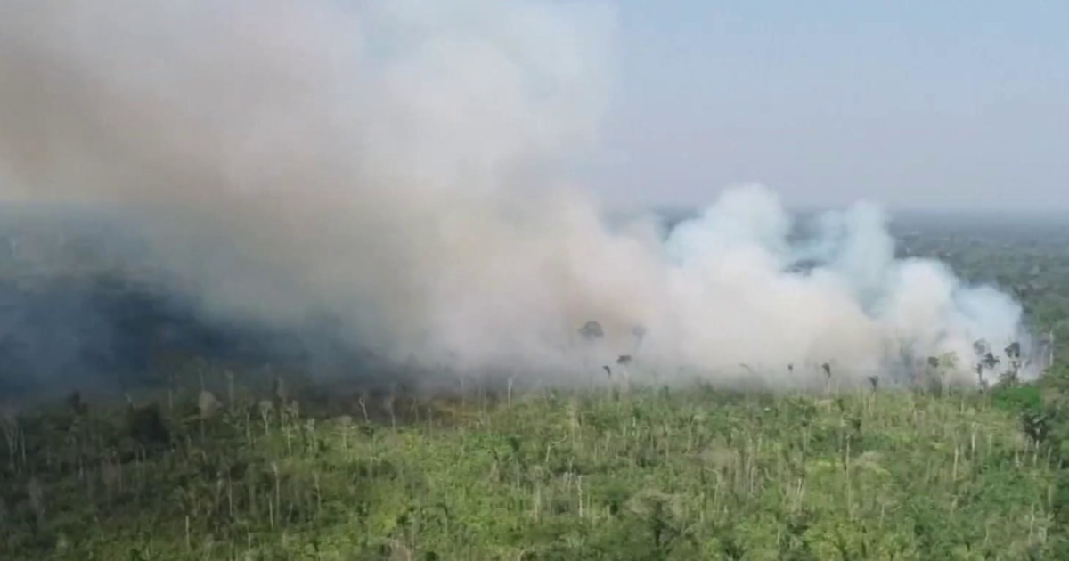 Brazil’s leadership under fire for blazes decimating Amazon rainforest