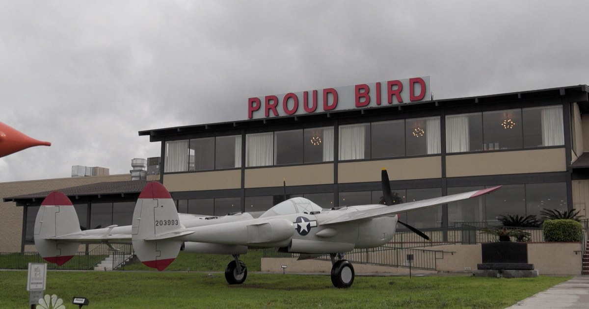A Postcard from the Field: Proud Bird