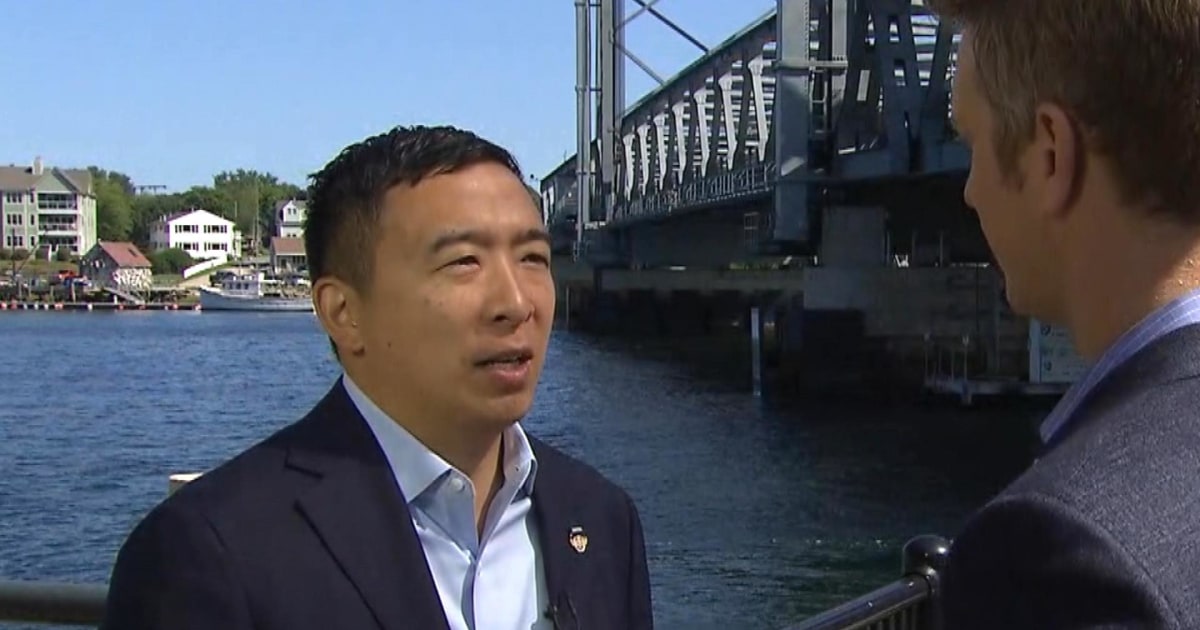 2020 hopeful Andrew Yang on plan to combat climate change