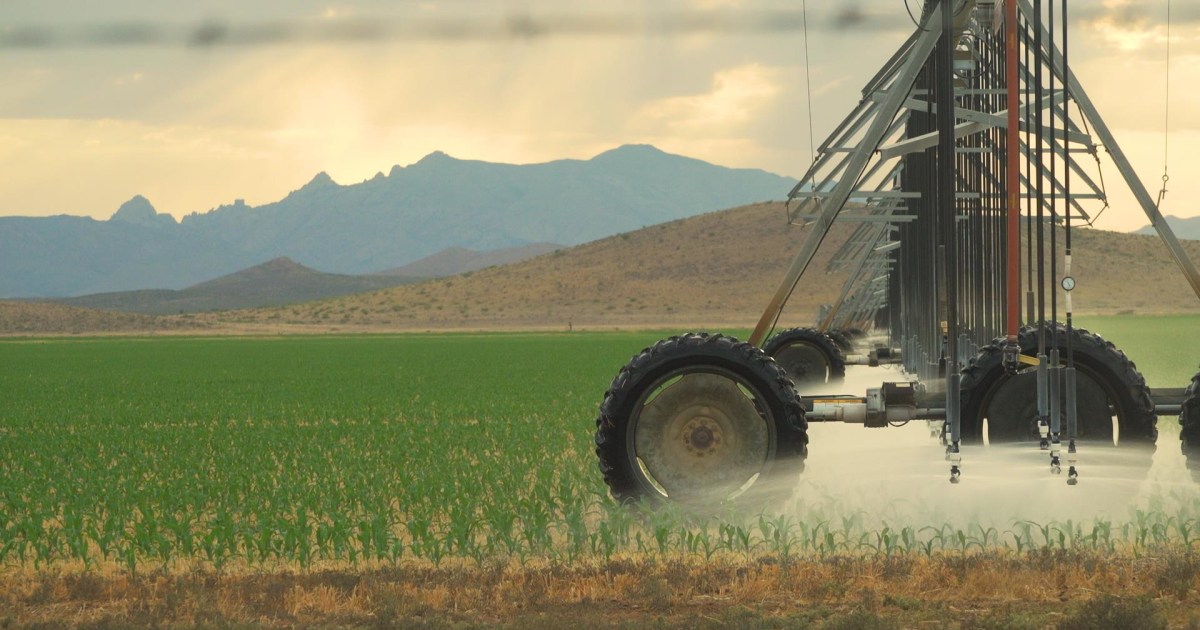 Water mining by industrial farms leaves wells dry in rural Arizona ...
