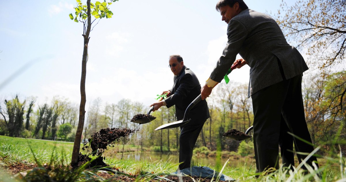 NASA took tree seeds into space nearly 50 years ago. Here's what ...