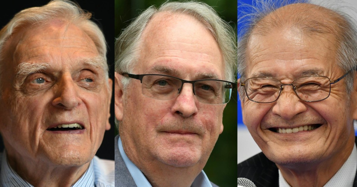 Chemistry Nobel goes to 3 scientists who developed the lithium-ion ...