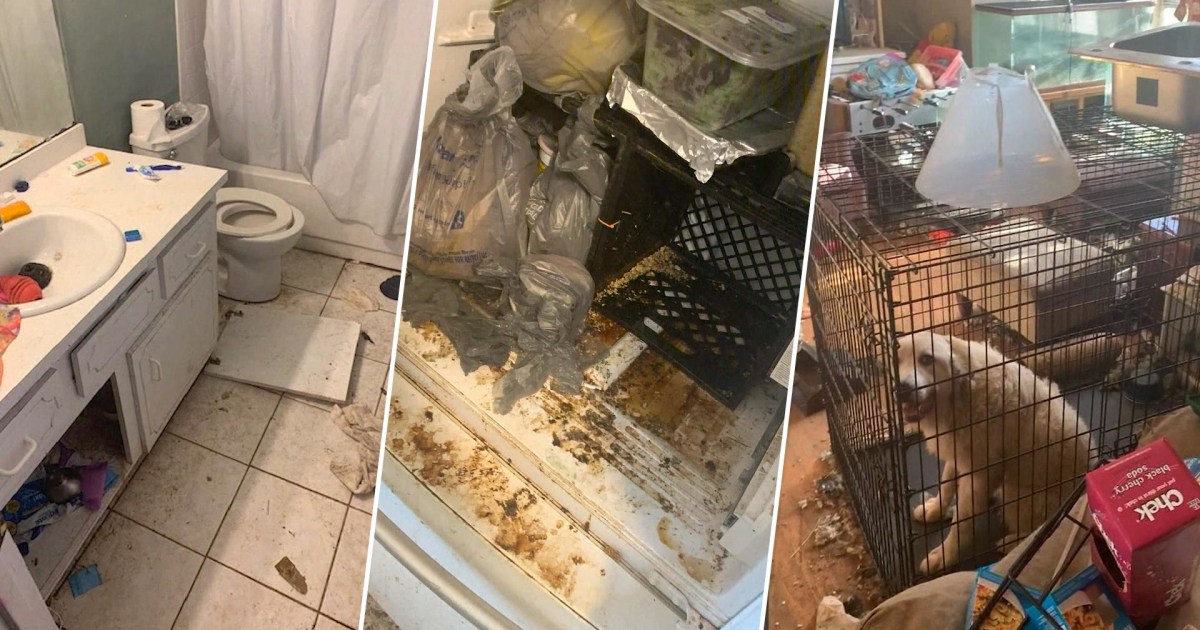 Florida house filled with three kids, 245 animals and filth